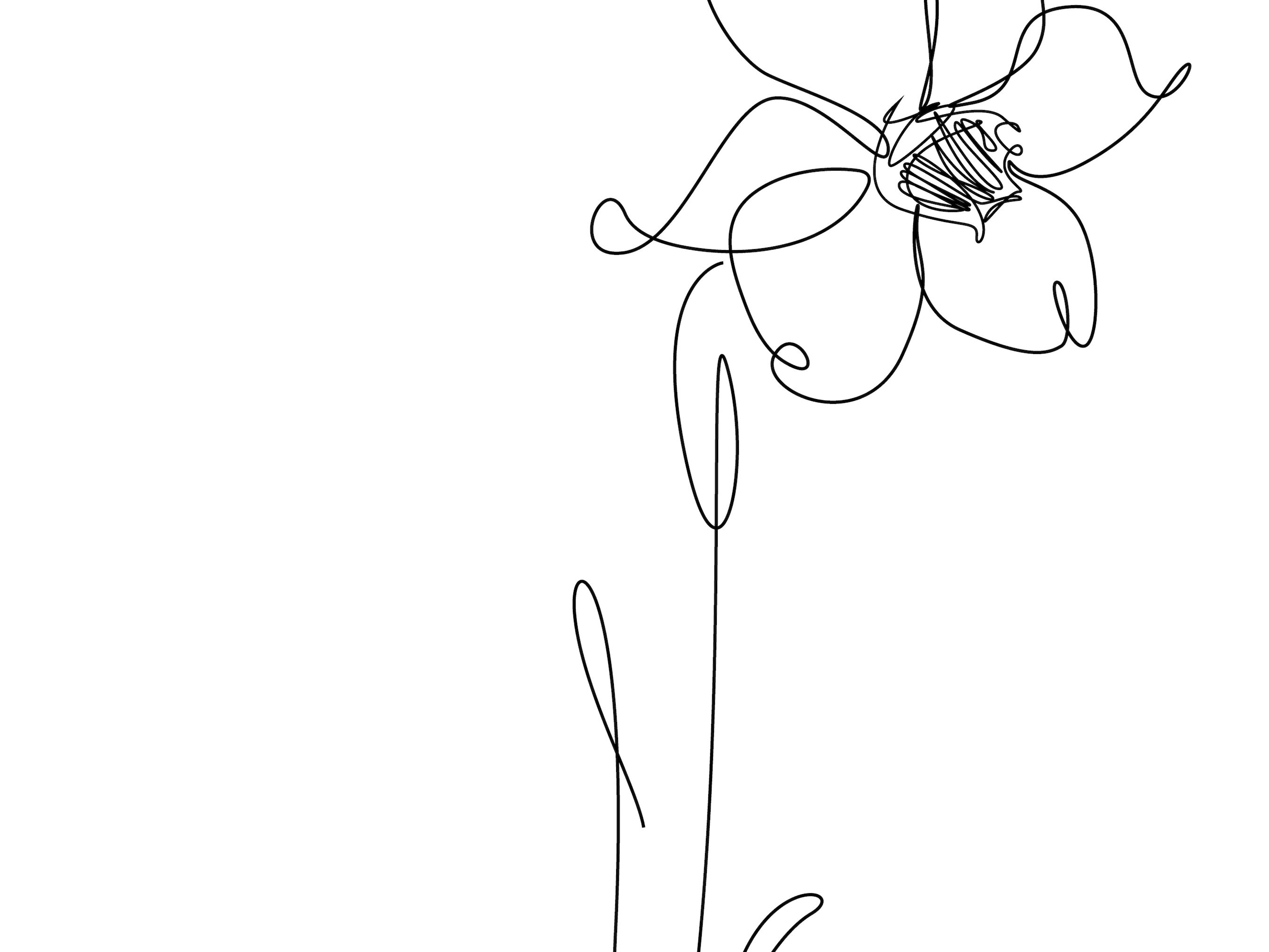 Stemmed Flower Digital Download Line Drawing - Minimalist Botanical ...