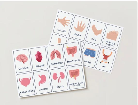 Somali Body Parts WHO EMRO | News | Somalia Site