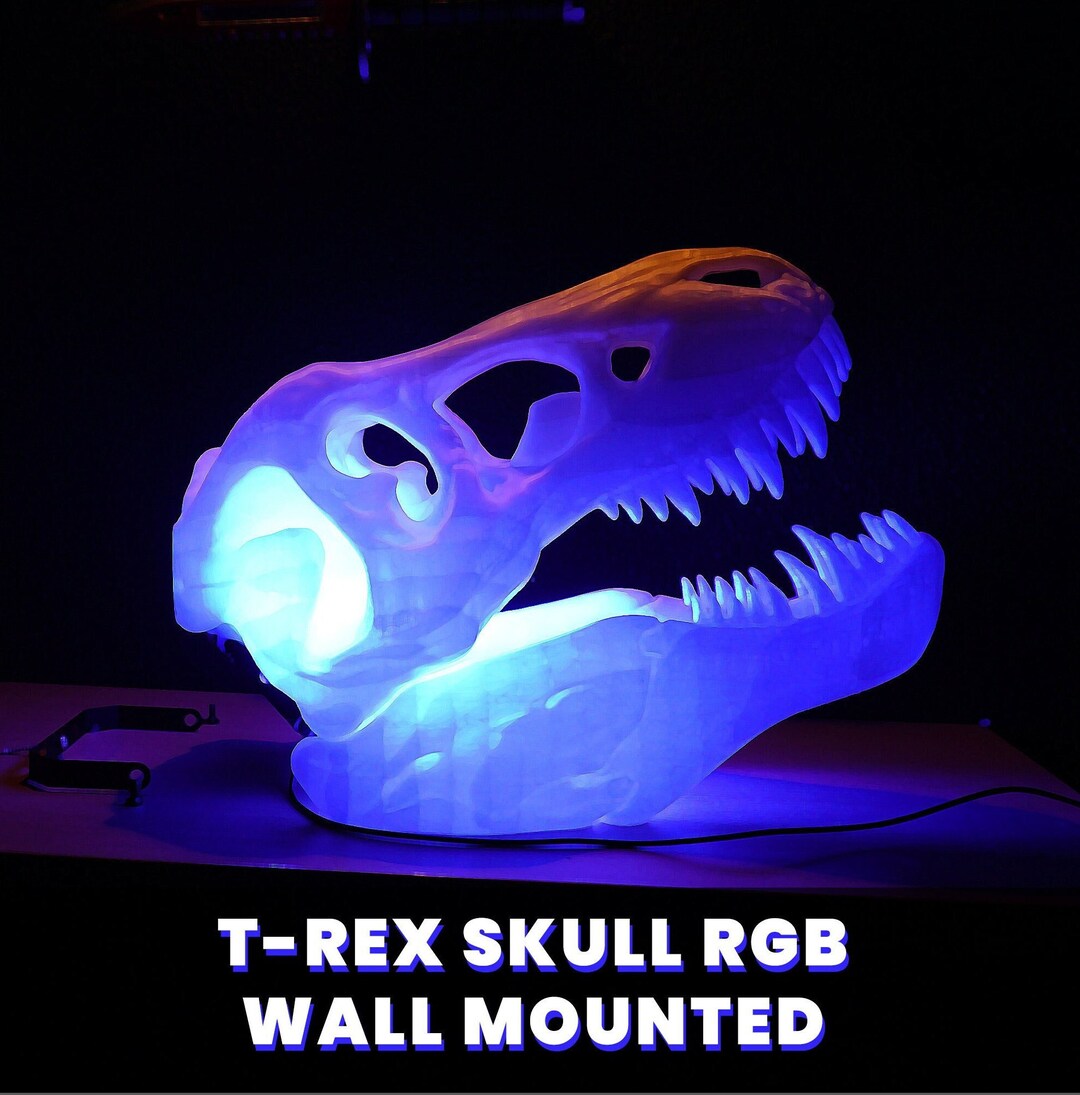 Life Size T-rex Skull With RGB as a Wall Mounted Handmade Tyrannosaurus ...