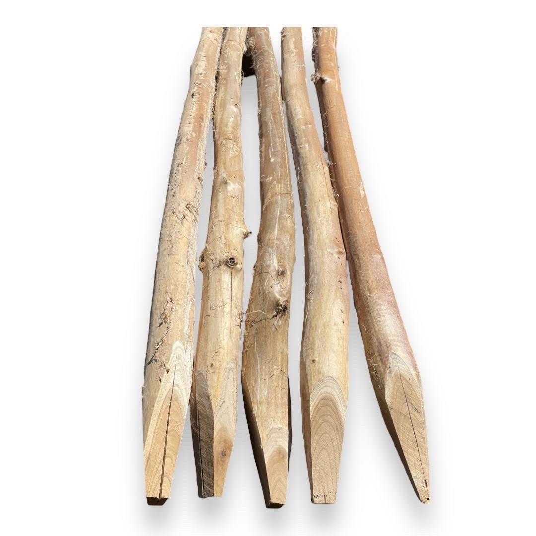 Pack of 5 Peeled Acacia Wood Posts With a 2.00 M Long Tip and a ...
