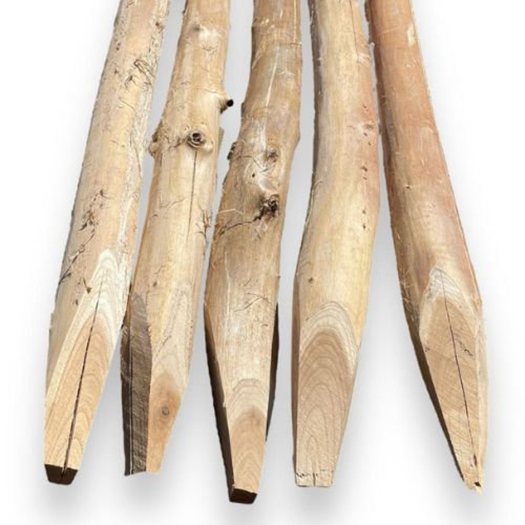 Pack of 5 Peeled Acacia Wood Posts With a 2.00 M Long Tip and a ...