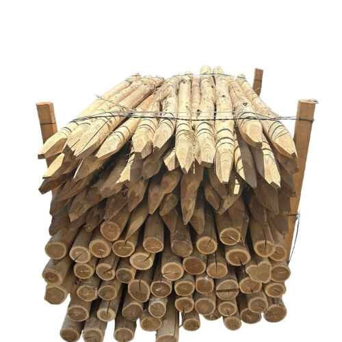 Pack of 5 Peeled Acacia Wood Posts With a 2.00 M Long Tip and a ...