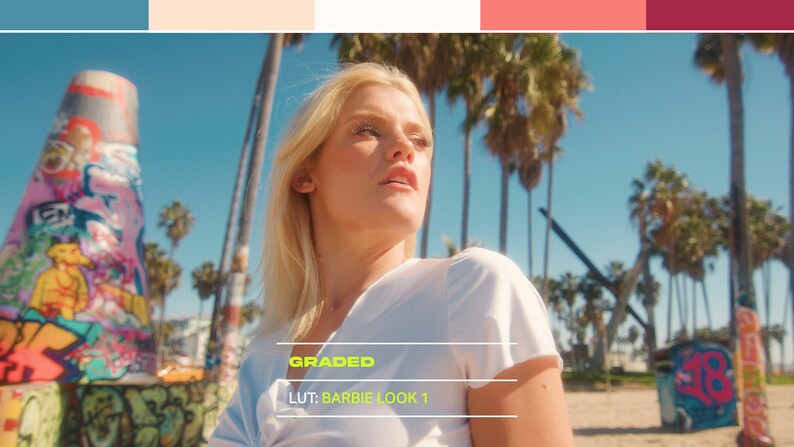 BARBIE LOOK Lut Pack Tropic Colour - Etsy