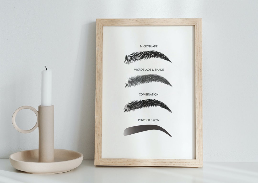 Eyebrow Style Showcase Chart, Brow Tech Salon Decor, Esthetician ...