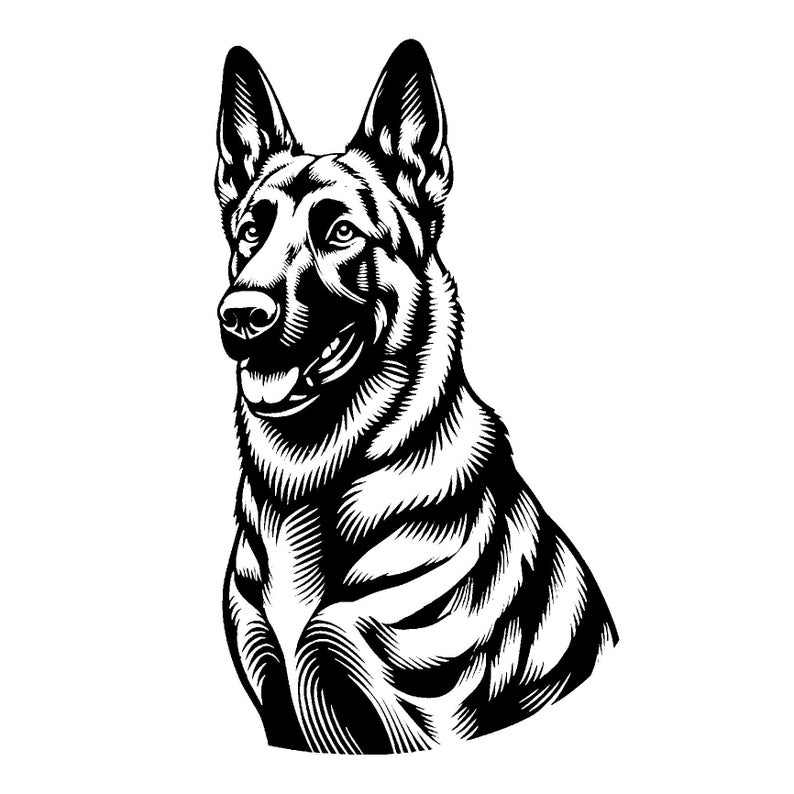 Dutch Shepherd SVG Graphic - Etsy