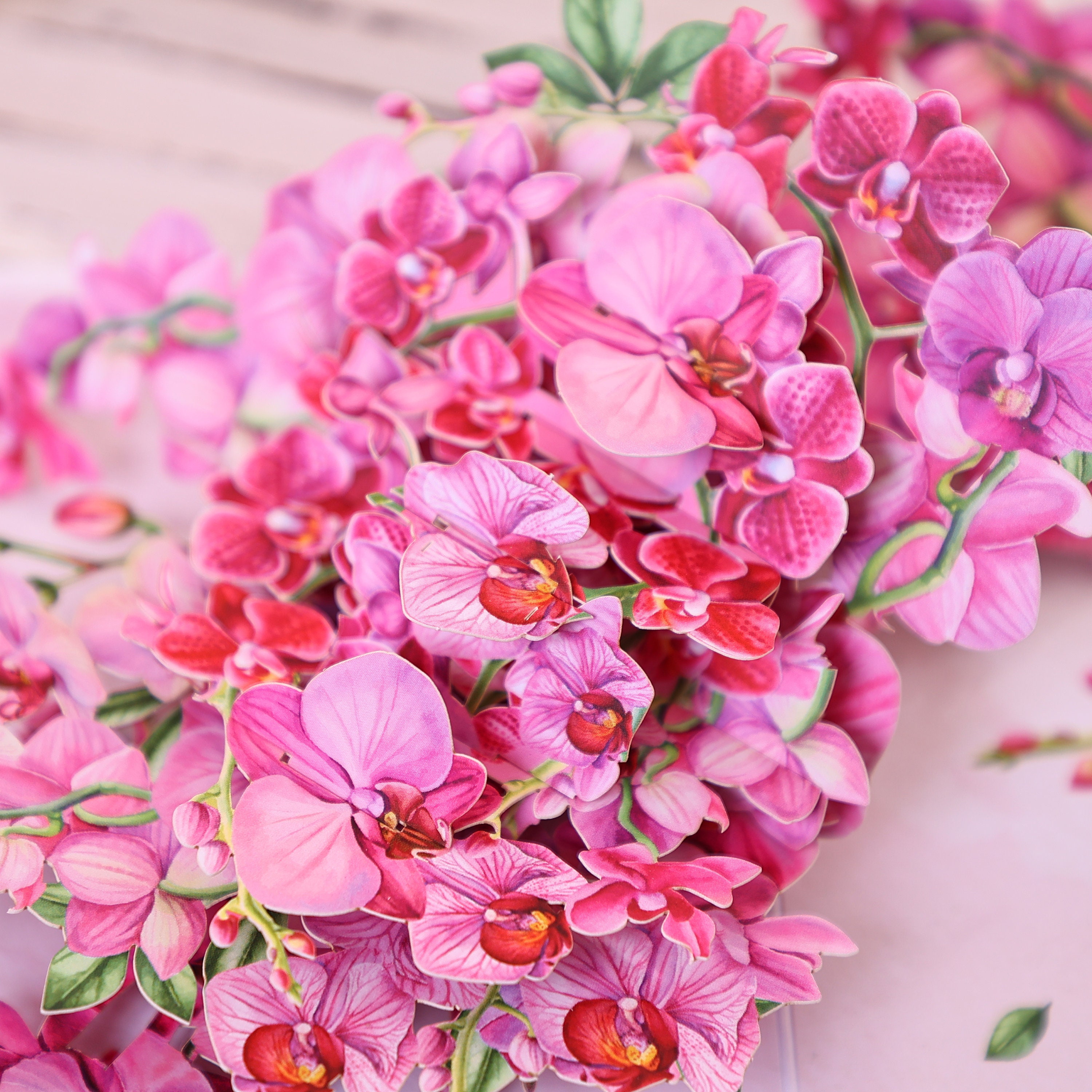 Orchids Pop up Card, Mothers Day Greeting Card,birthday Gift Card, Gift ...