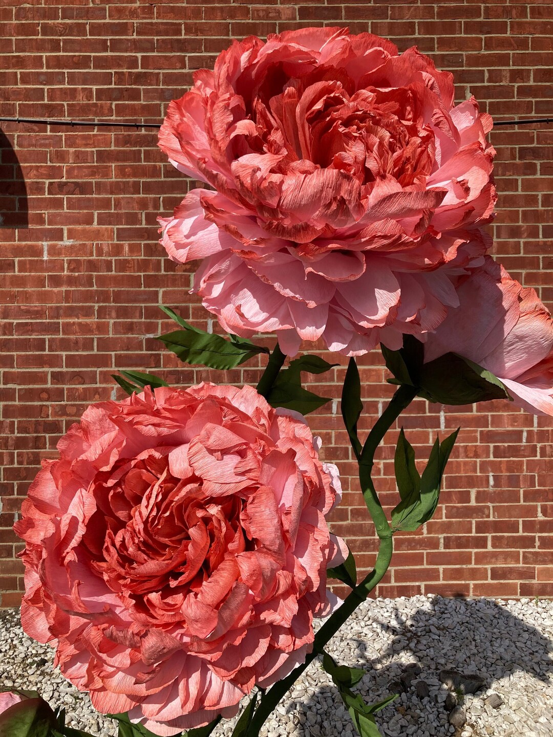 Handmade Large Oversized Standing Peony Paper Flowers (4) With Stem ...
