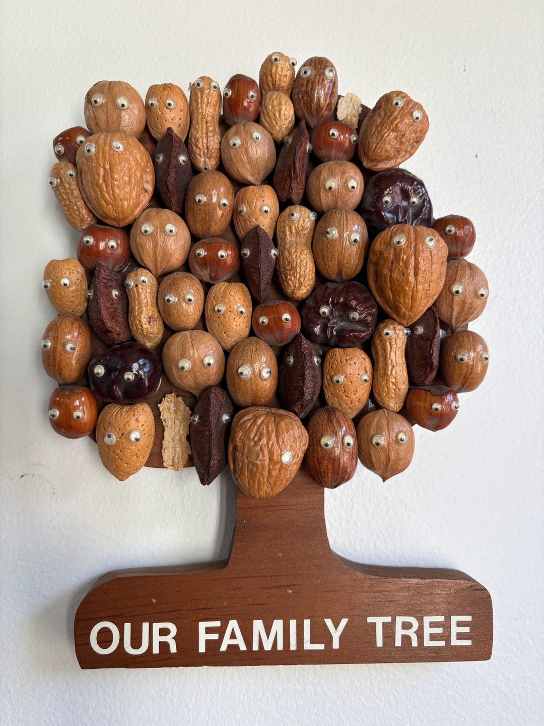 Vintage Handmade Family Nut Tree Googly Eyes Humor Wall Hanging *read ...