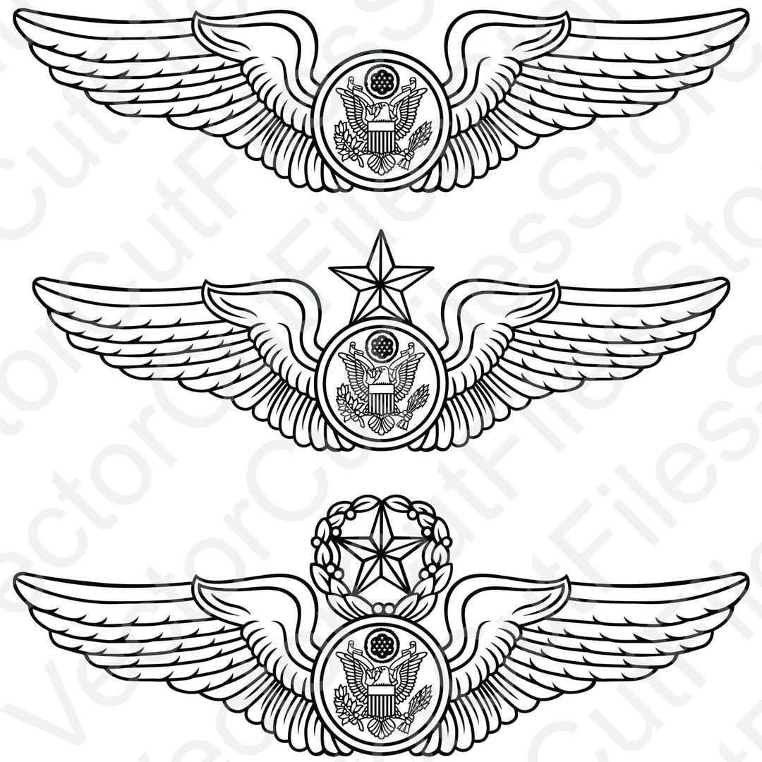 US Air Force Enlisted Aircrew Insignia Vector File - Etsy
