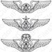 US Air Pilot Insignia Vector File - Etsy