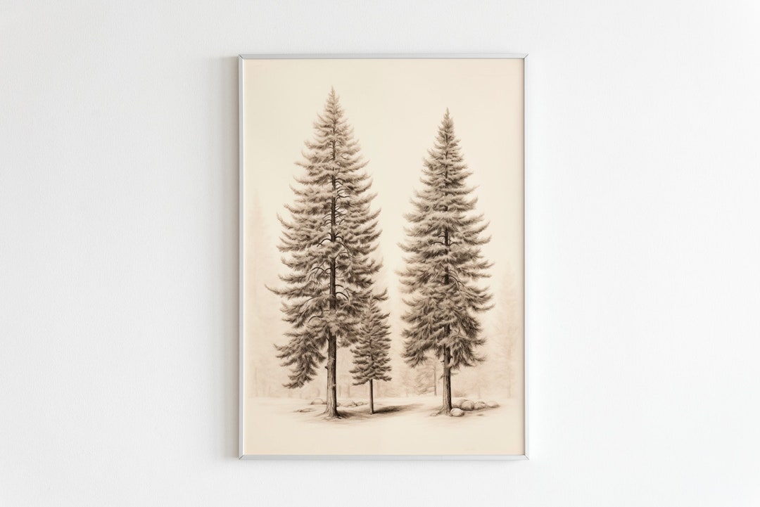 Vintage Silver Fir Trees Sketch Wall Art, Neutral Tree Sketch Print ...