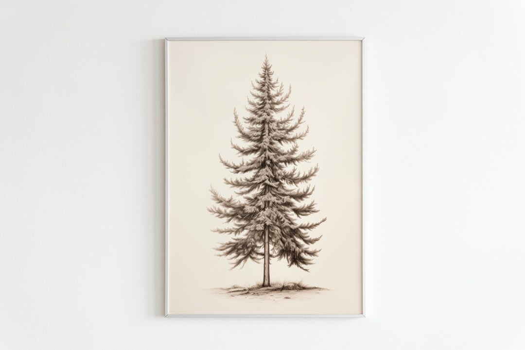 Vintage Norway Spruce Neutral Tree Sketch Print, Printable Wall Art ...