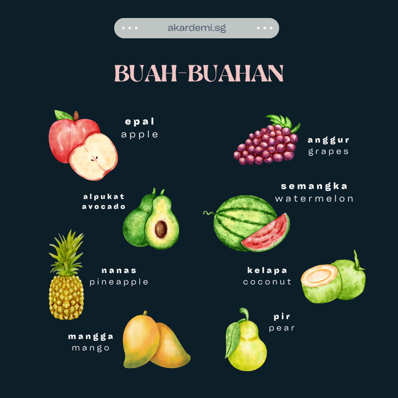 Montessori Malay Learning Printables - Etsy