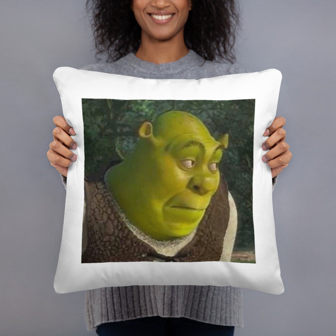 Shrek Meme Pillow - Etsy