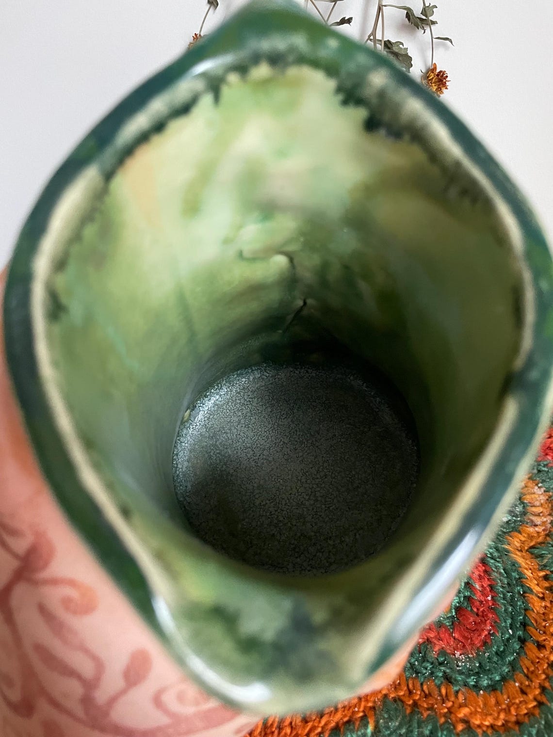 Flying Fiddle Fern Pitcher - Etsy