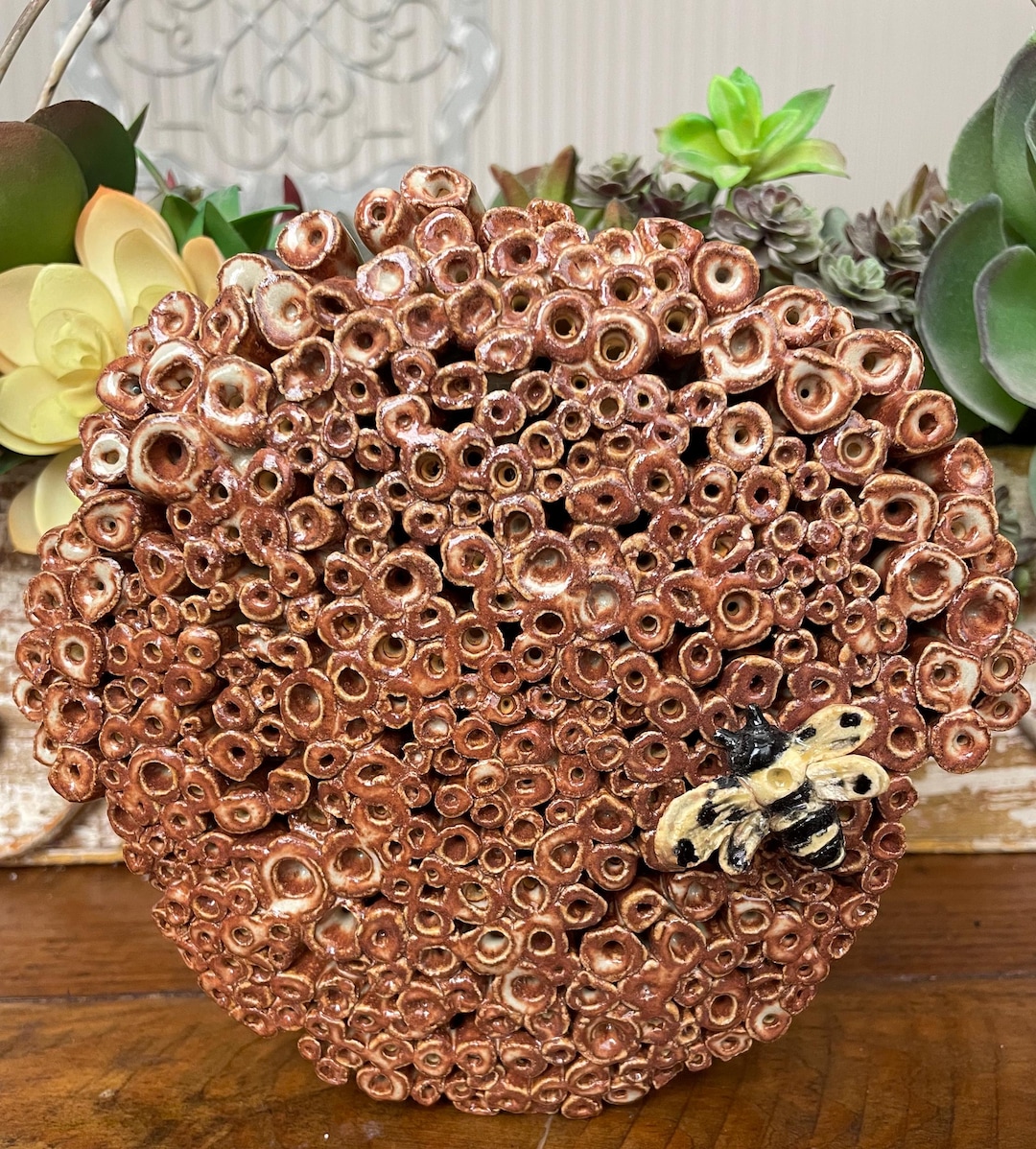 Hanging Wall Bee Hive - Etsy