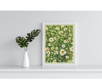 Daisies Digital Print Wall Decor, Pastel Colors Floral Home Decor ...