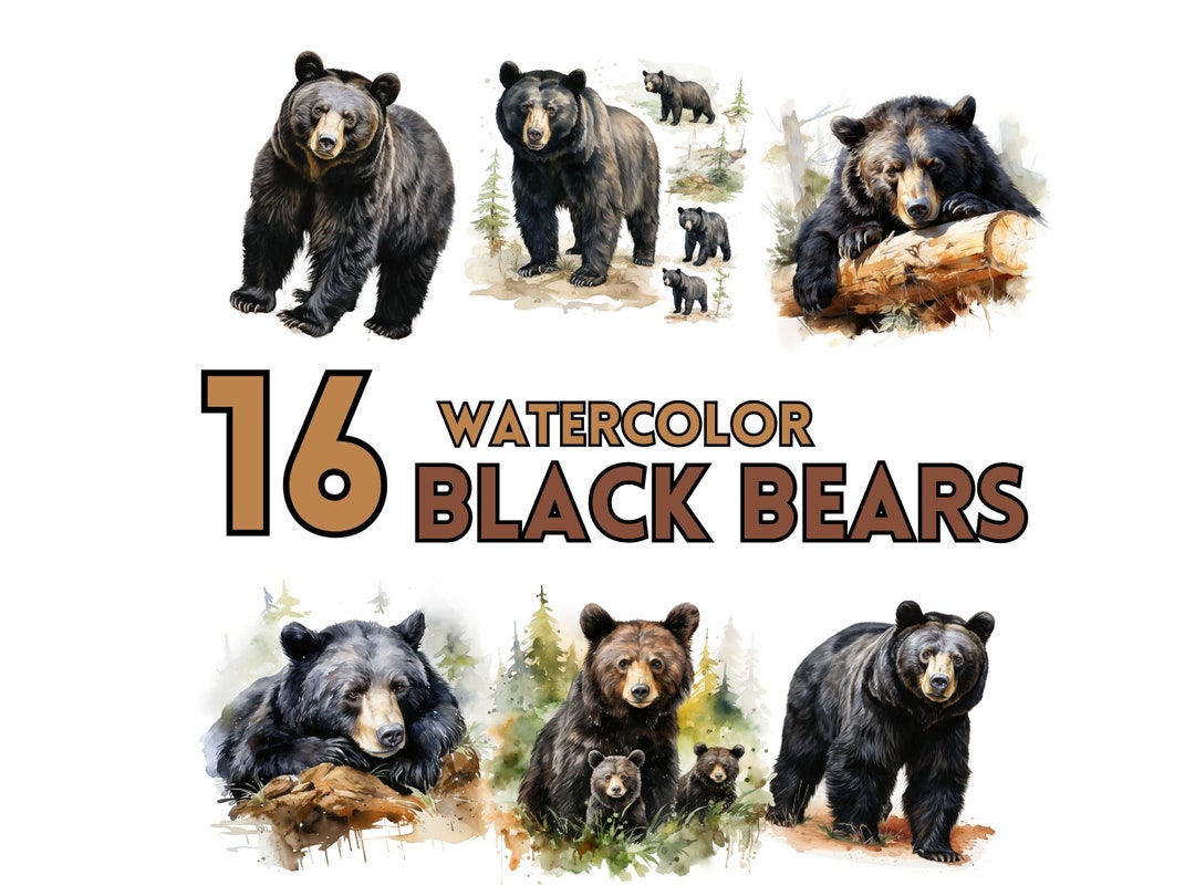 Watercolor Black Bears, Clipart Black Bear Png, Woodland Clipart ...