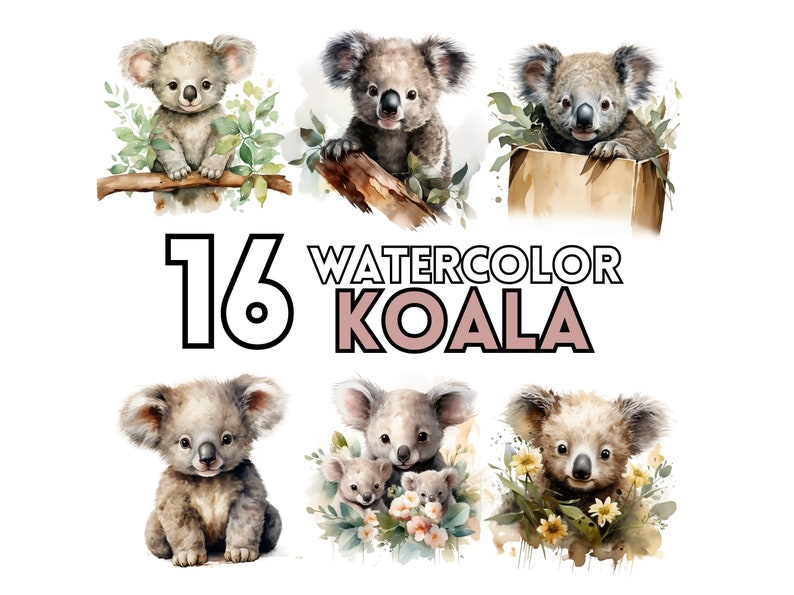 Koala Bear Clipart Cute Koala Png Printable Australian Animals Wall Art ...