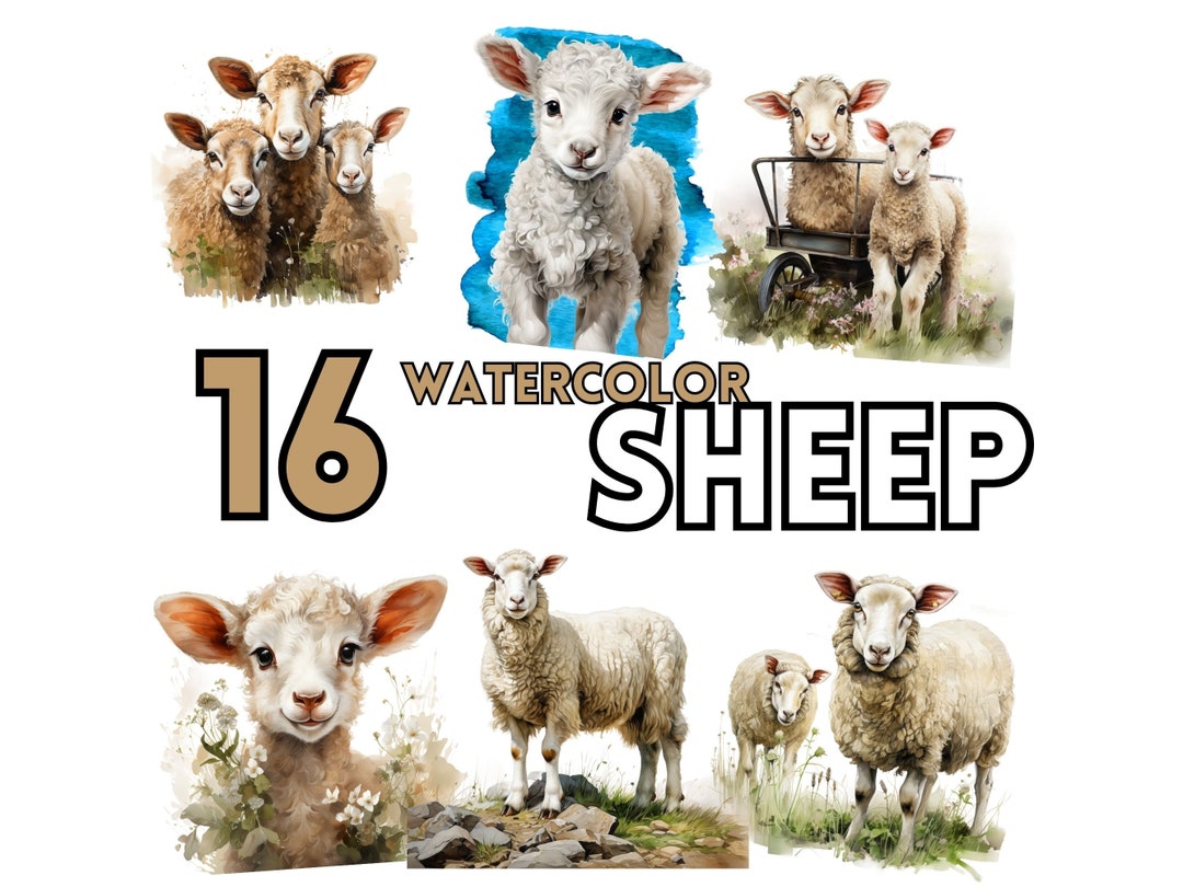 Watercolor Sheep Clipart Cute Lamb Clipart Cute Baby Sheep Png Farm ...