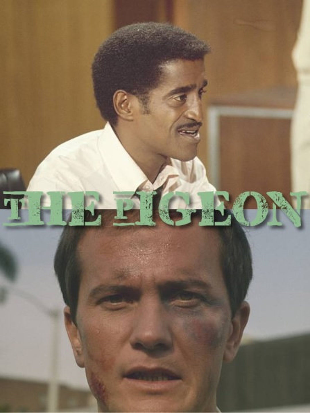 The Pigeon 1969 DVD - Etsy Australia