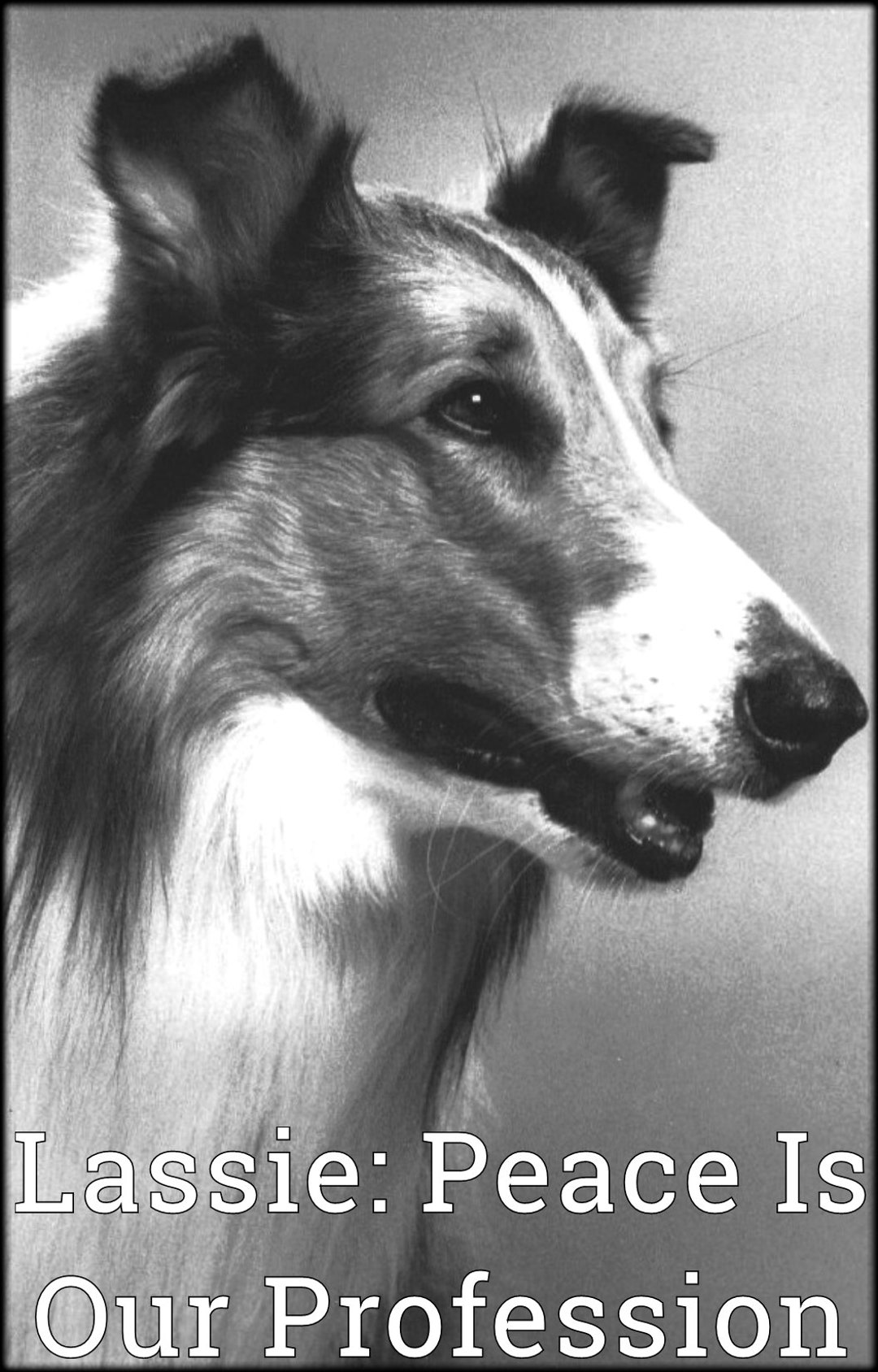 Lassie: Peace is Our Profession 1972 DVD - Etsy