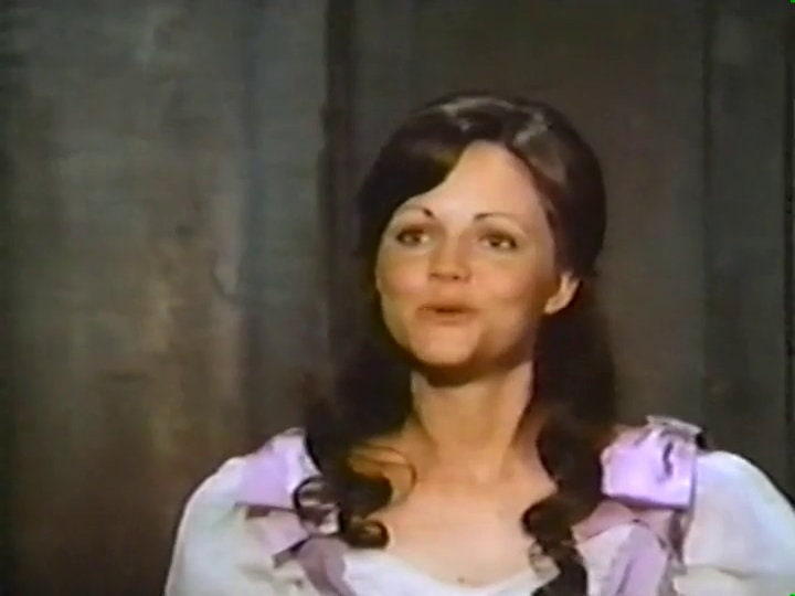 Bridger 1976 DVD - Etsy