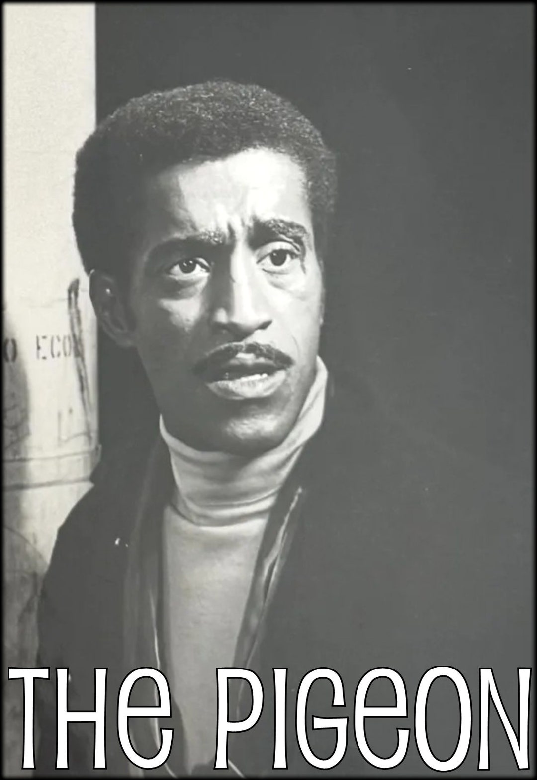 The Pigeon 1969 DVD - Etsy