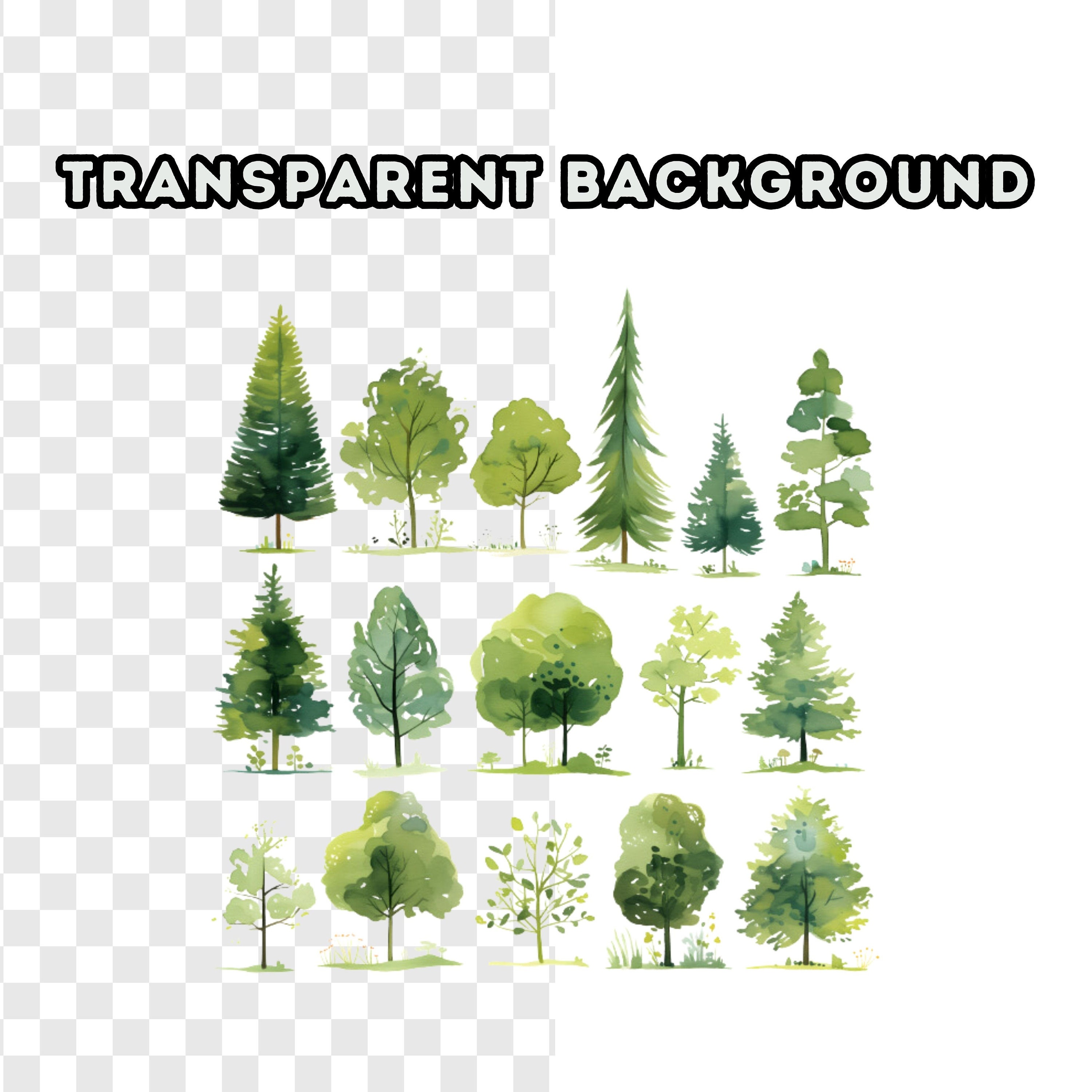 Evergreen Trees Clipart,37 PNG Watercolor, Transparent PNG - Etsy