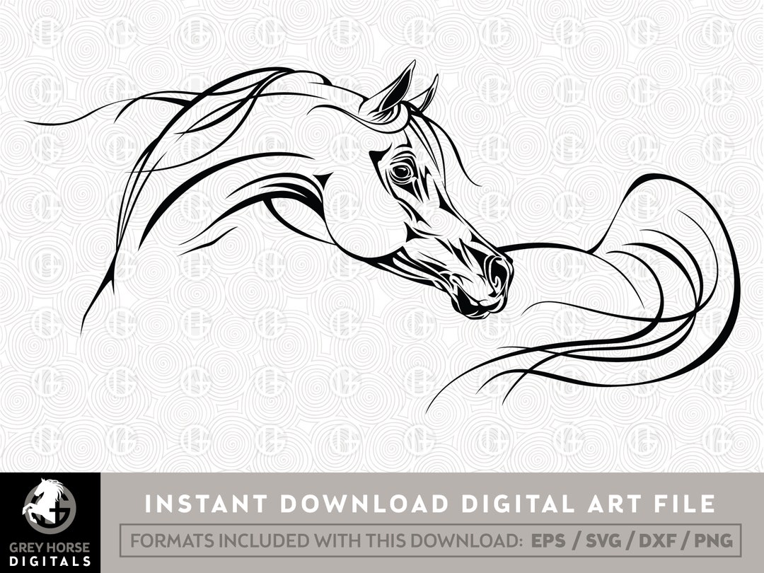 Arabian Horse GHD49, Svg, Dfx, Png, Eps, Vector, Transparent Background ...