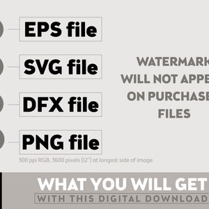 Mad Horse GHD19, Svg, Dfx, Png, Eps, Vector, Transparent Background ...