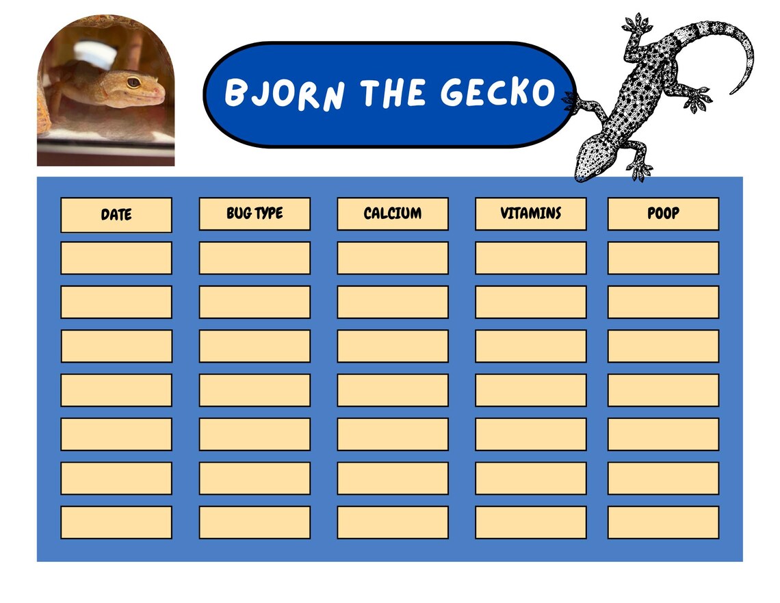 Gecko Care Chart - Etsy