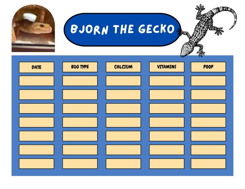 Gecko Care Chart - Etsy