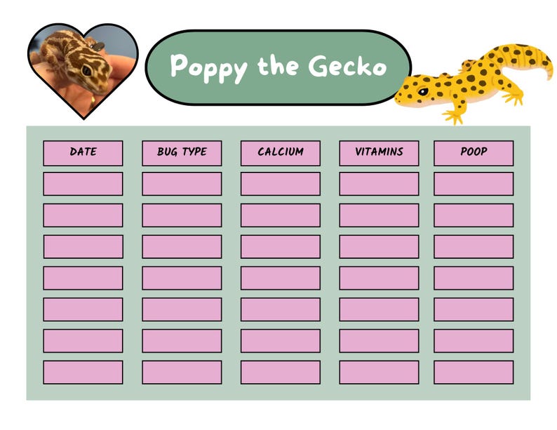 Gecko Care Chart - Etsy