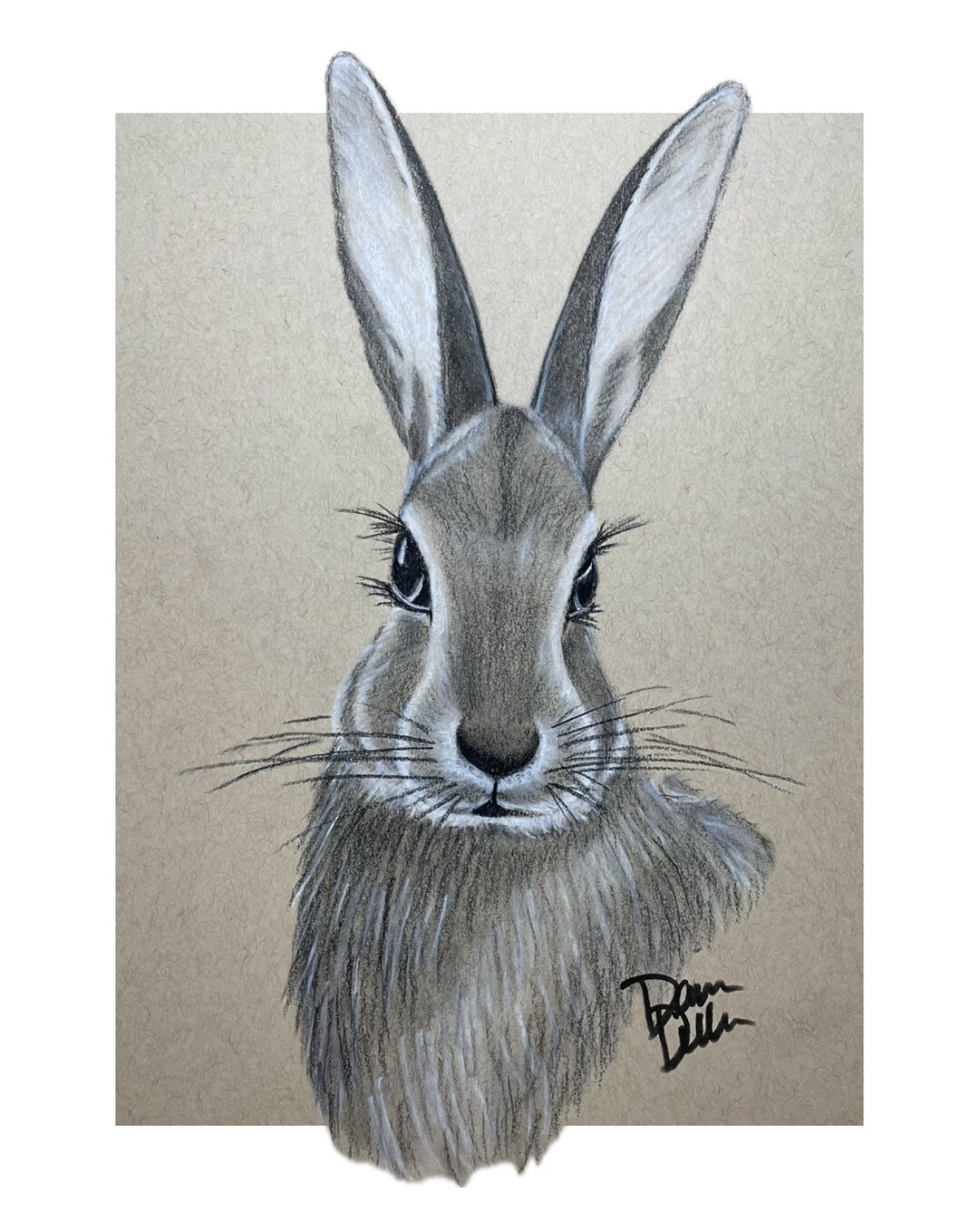 Rabbit Drawing - Etsy