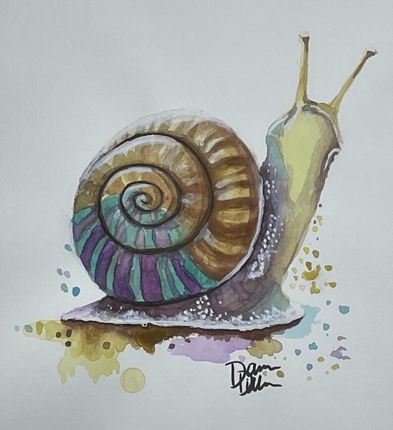 Snail Watercolor - Etsy