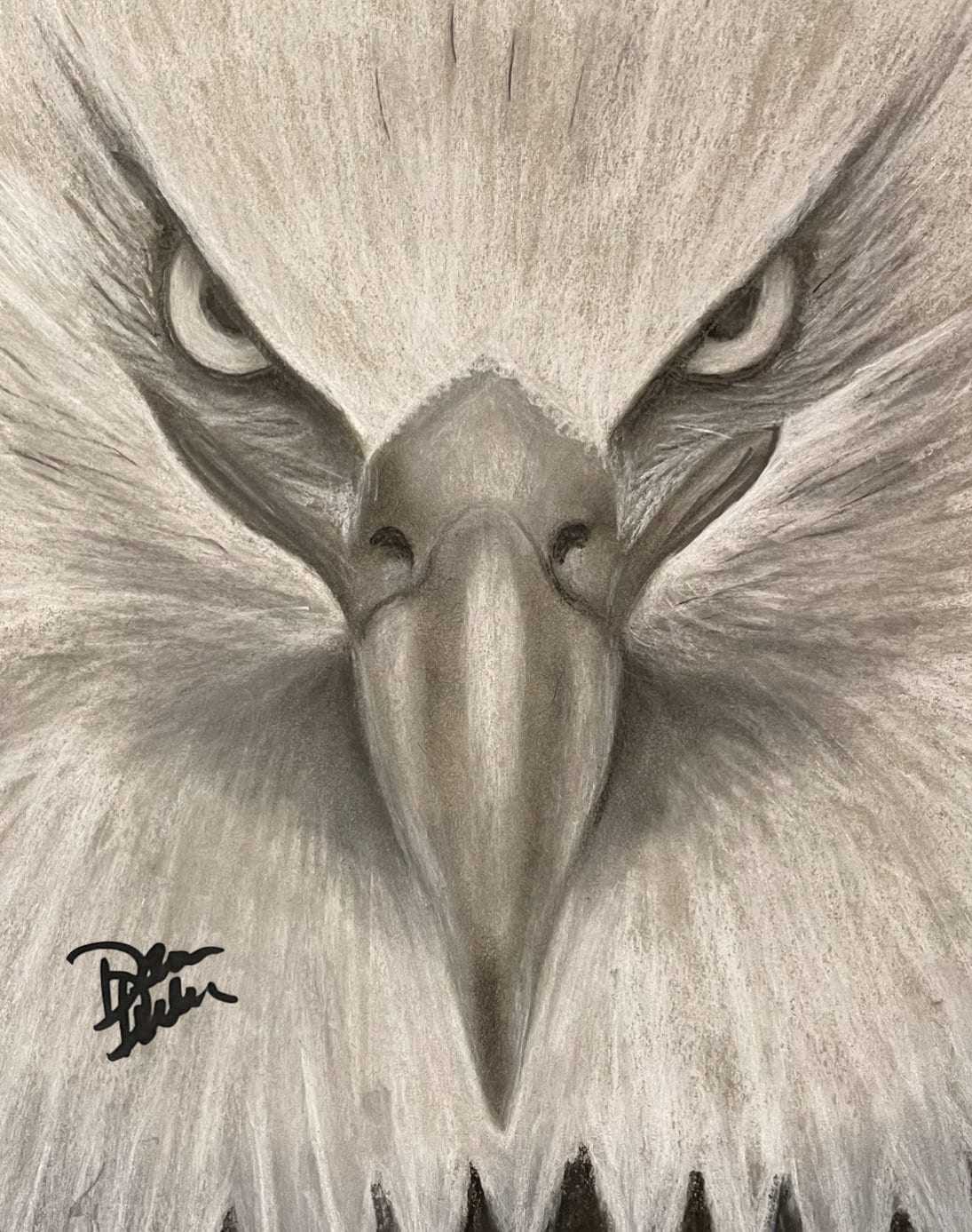 Bald Eagle Drawing - Etsy