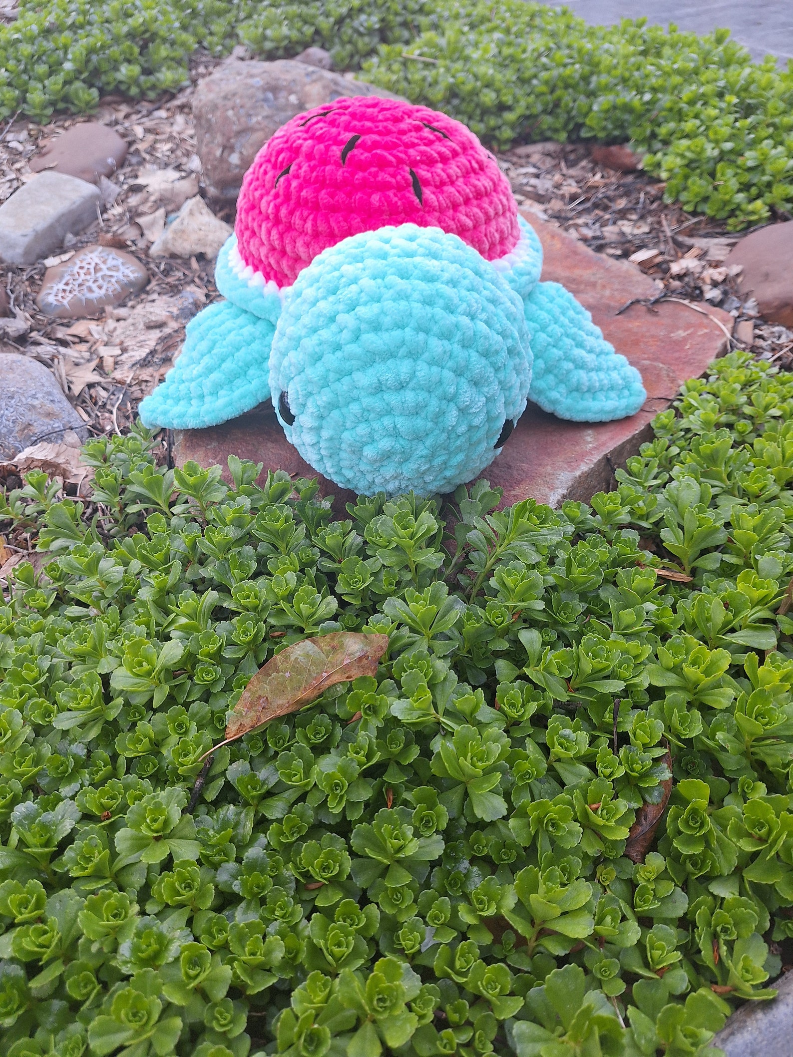 Jumbo Crochet Watermelon Turtle, Jumbo Amigurumi Watermelon Turtle ...
