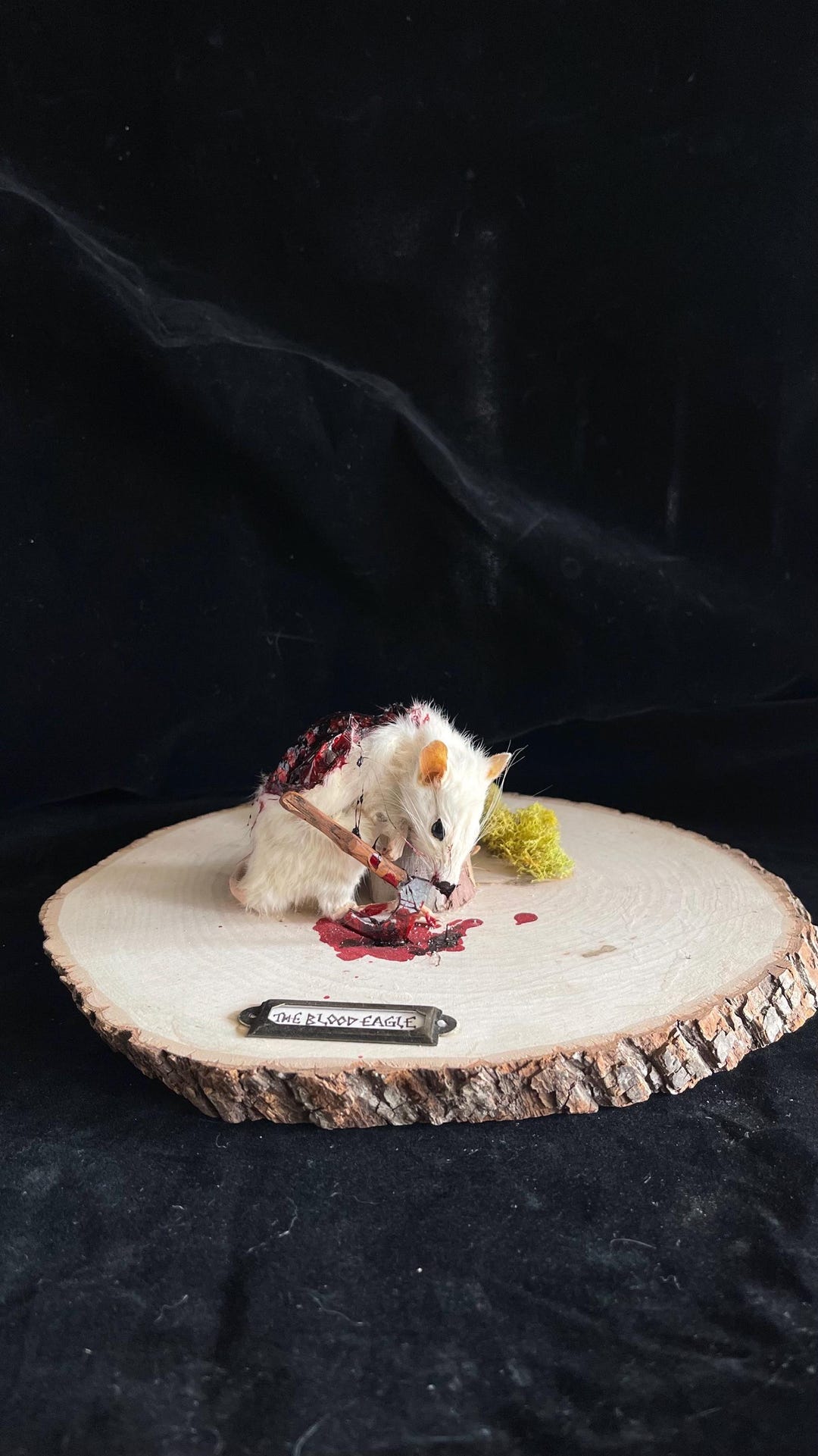 Blood Eagle Taxidermied Rat - Etsy
