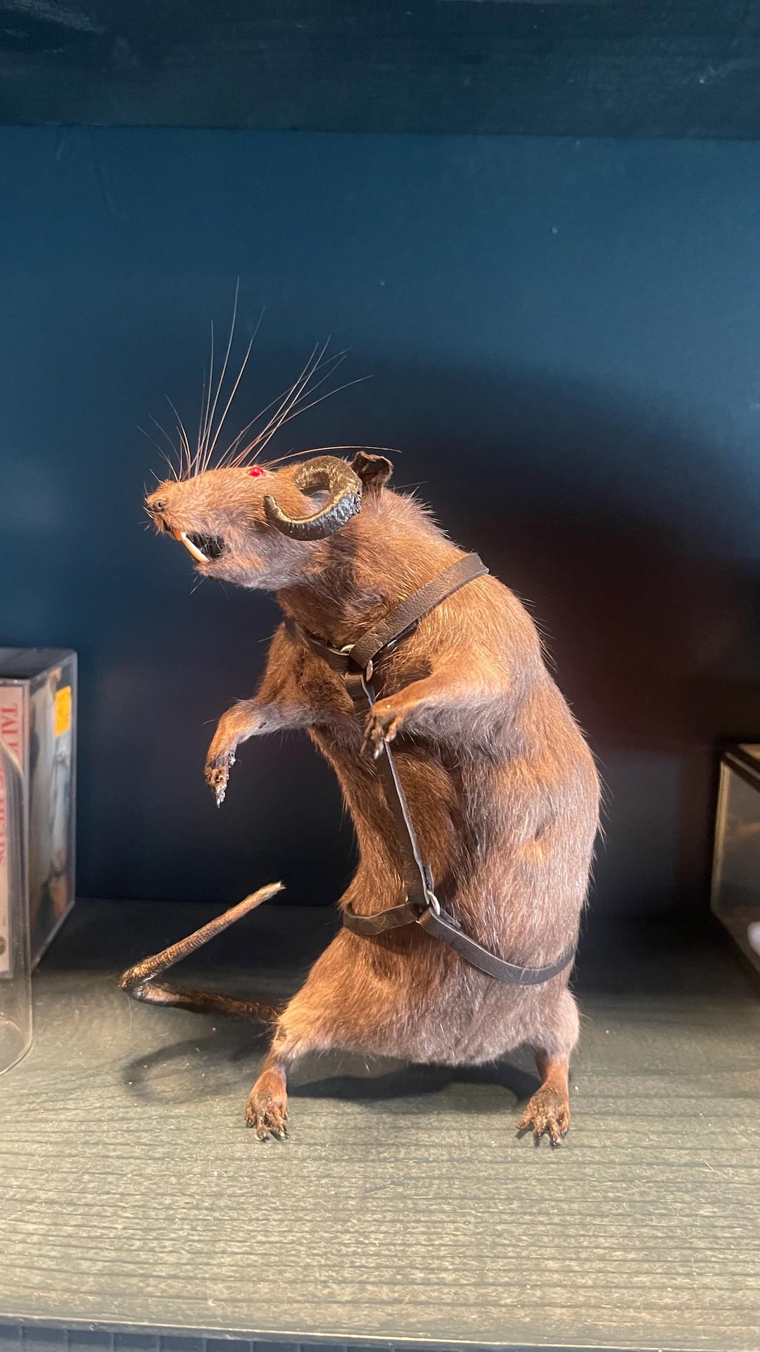 Ratan the Demonic Rat - Etsy