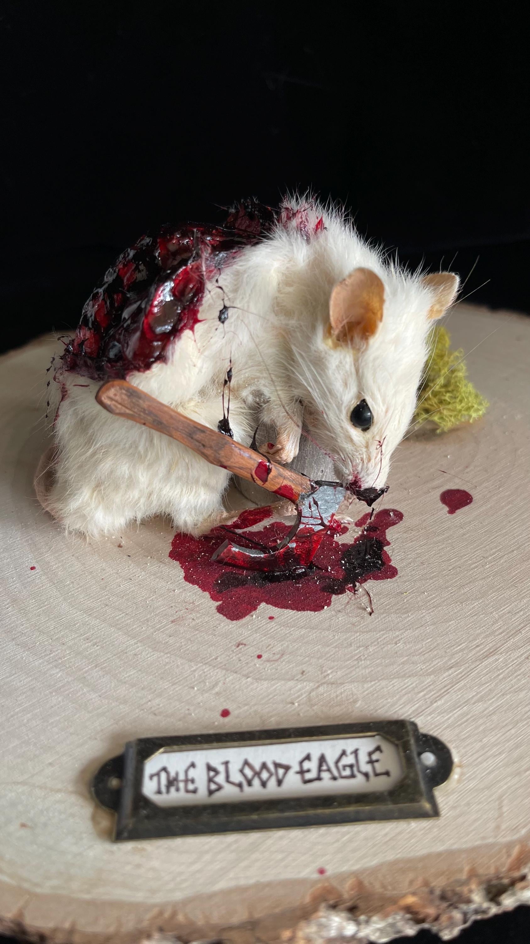 Blood Eagle Taxidermied Rat - Etsy