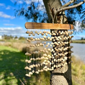 Waterfall Kenari Seeds Pods Shaker, Soothing and Healing Sound, 50cm X ...
