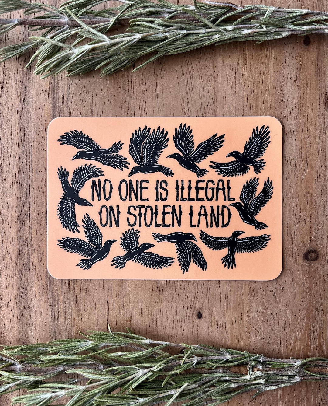 No One is Illegal on Stolen Land Sticker | Indigenous Immigrant Rights ...