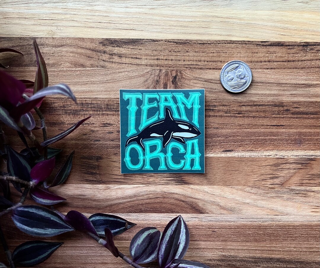 Team Orca Charity Sticker Killer Whale Ocean Environment Wildlife ...