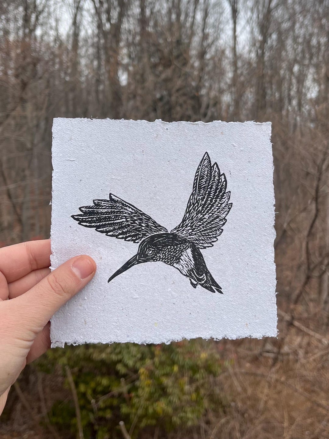 Ruby-throated Hummingbird Linocut Block Ink Wall Art Print | Free ...