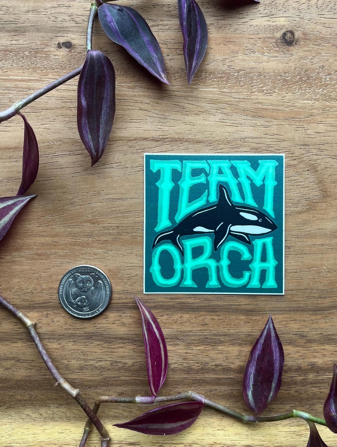 Team Orca Sticker | Eat the Rich Orca Whale Ocean Conservation ...