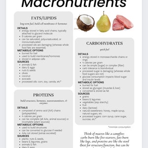 Practical Protein Guide - Etsy