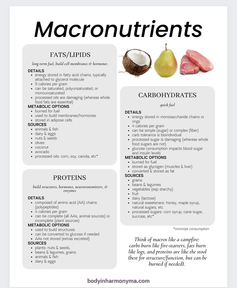 Practical Protein Guide - Etsy