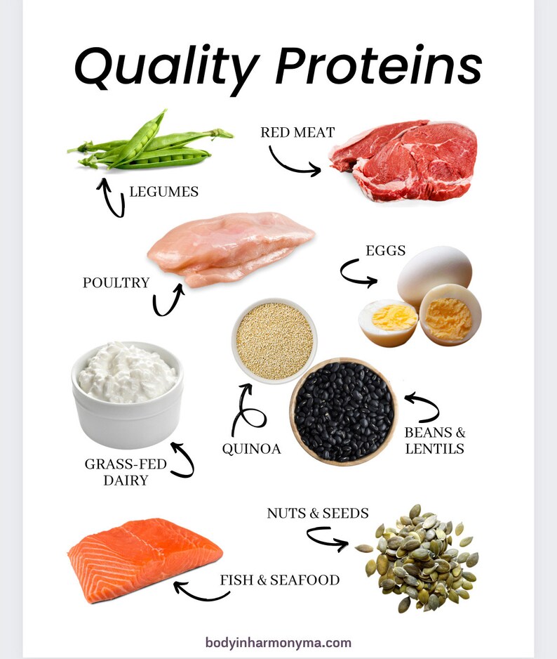 Practical Protein Guide - Etsy