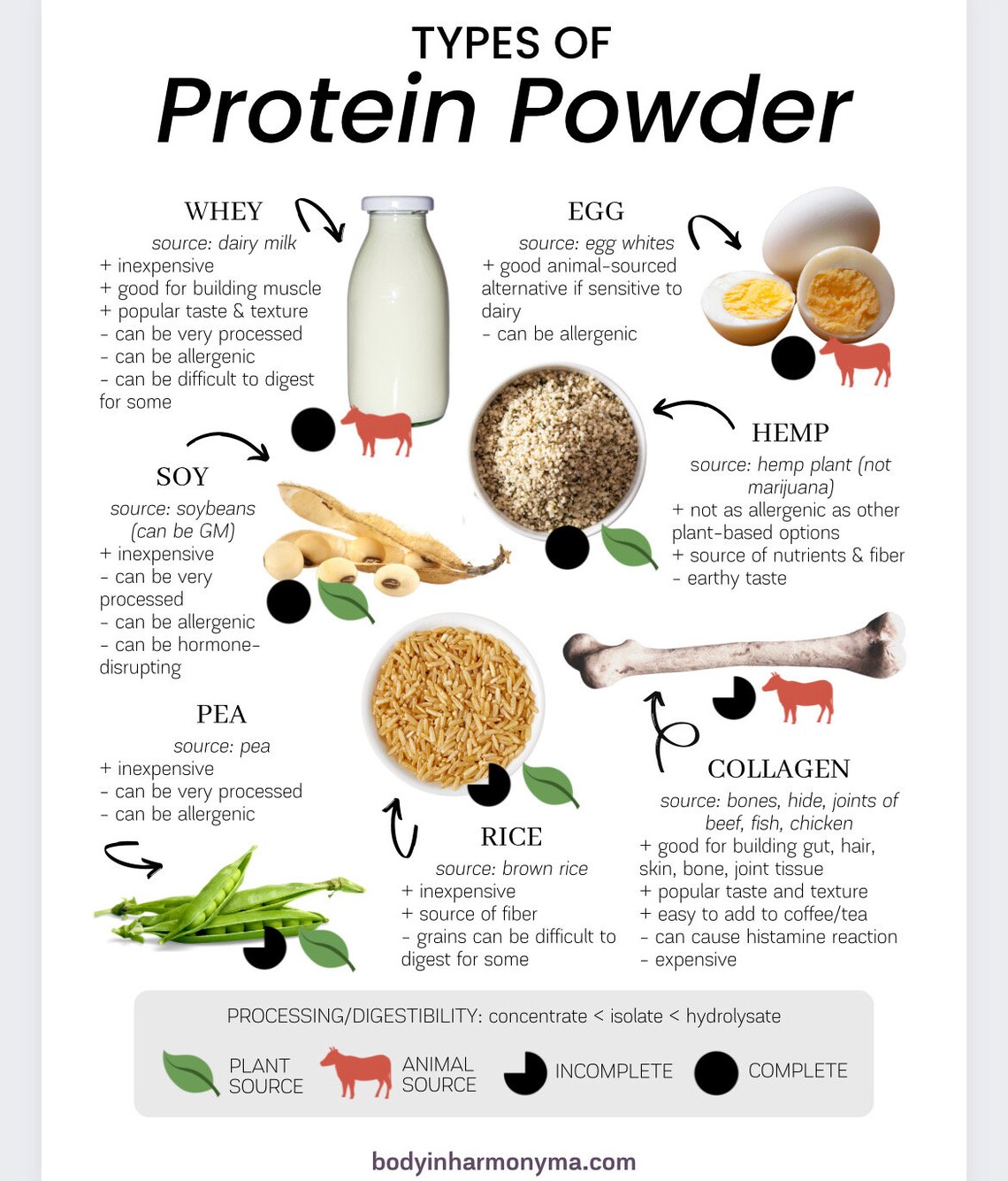Practical Protein Guide - Etsy